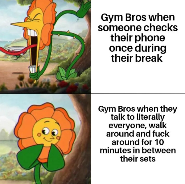 Gym Memes Are an Ab Workout