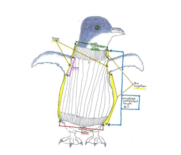 Foundation knits adorable sweaters for penguins in need