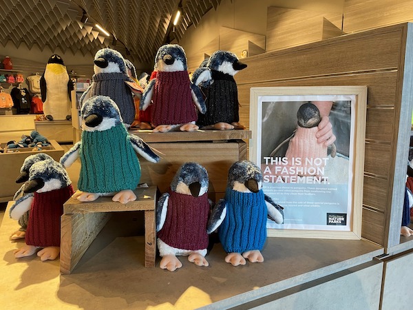 Foundation knits adorable sweaters for penguins in need