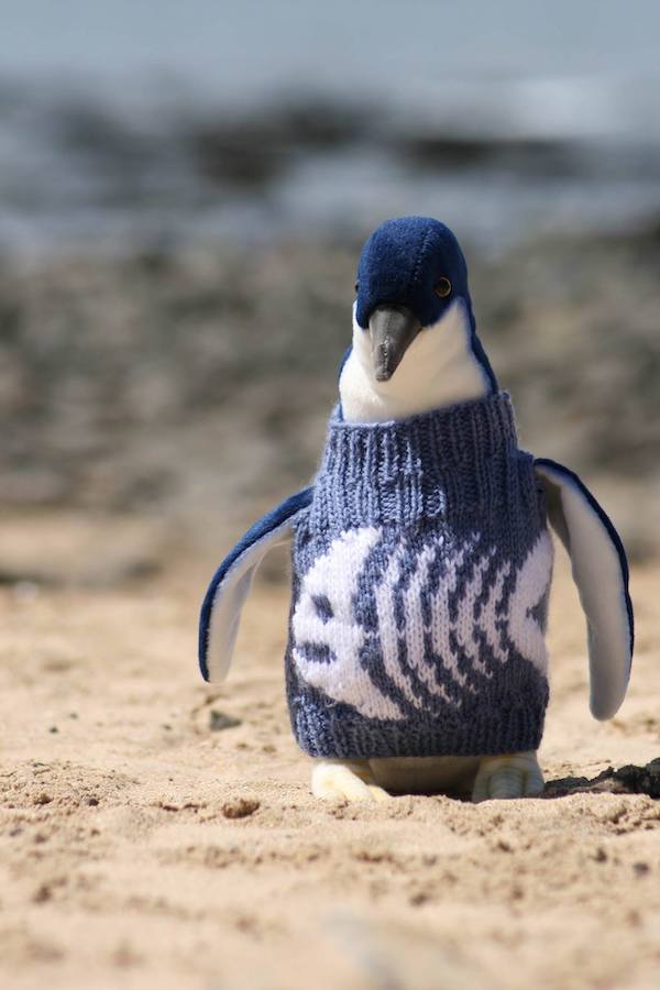Foundation knits adorable sweaters for penguins in need