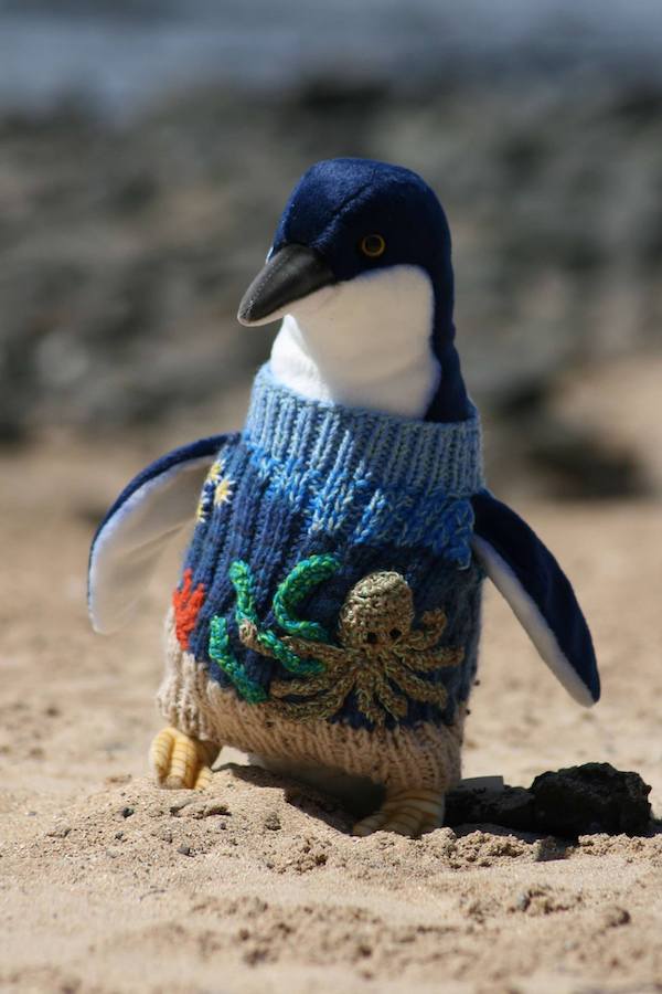 Foundation knits adorable sweaters for penguins in need