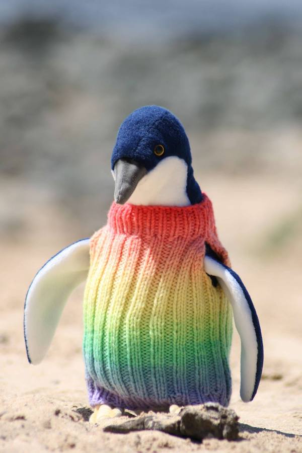 Foundation knits adorable sweaters for penguins in need