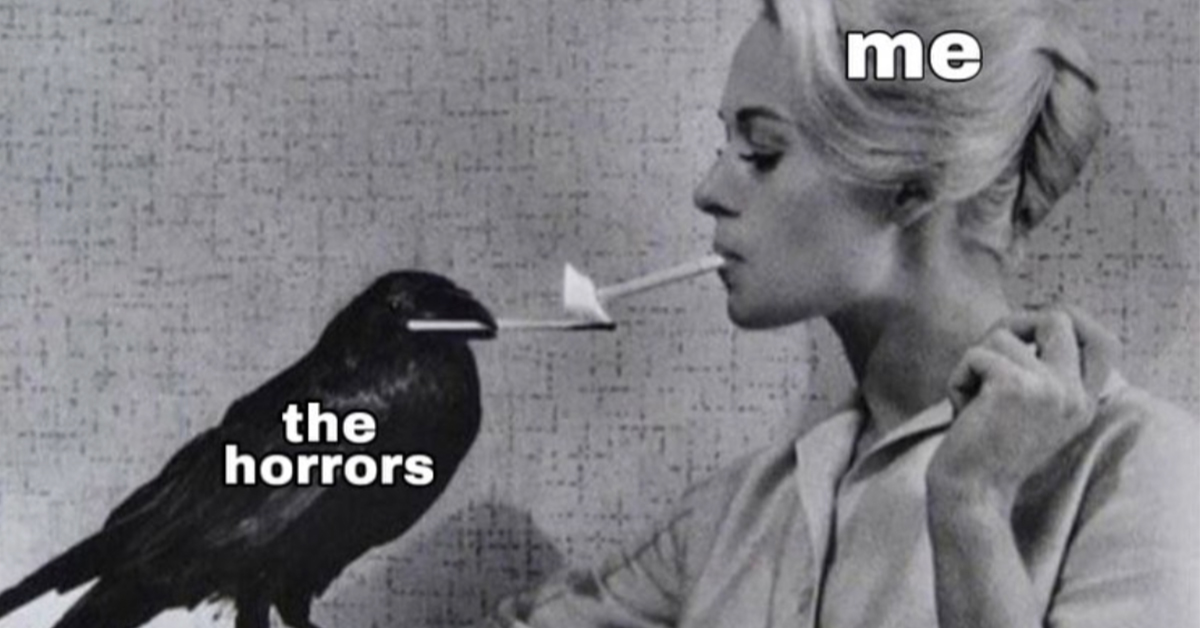 Daily Afternoon Randomness | Random Memes, Photos & Gifs - theCHIVE