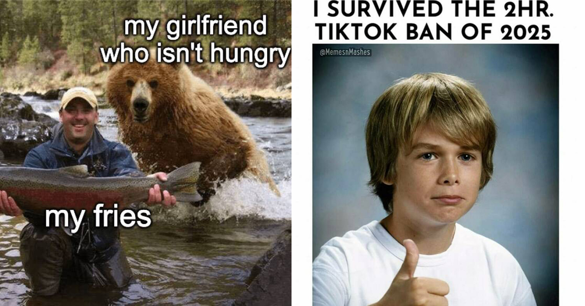 Funny Memes | The Funniest and Most Hilarious Memes Ever - theCHIVE