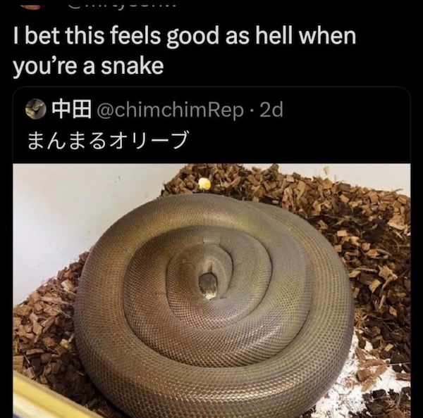 Silly Stupid Memes for Snoozy Saturday Sloths (26 Photos)