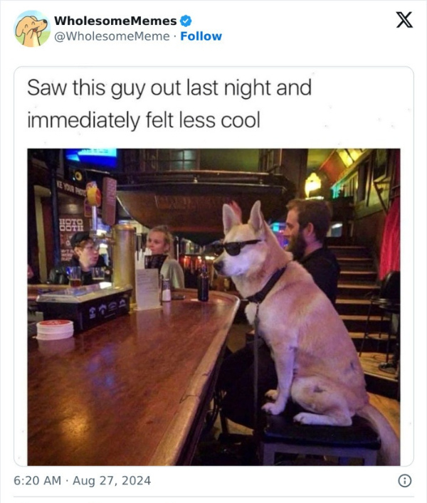 Sunshine and Wholesome Memes Galore!