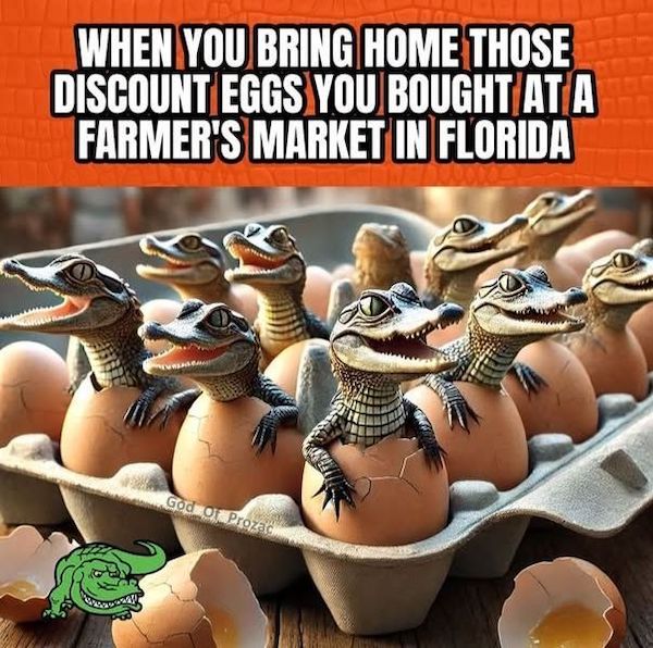 Beer-a-FULL Memes Funny Drinking Friday of Stupid Wis-DUMB Thoughts