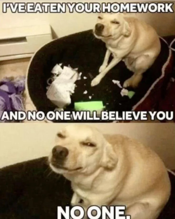 Dog Memes Dedicated to the Good Boys