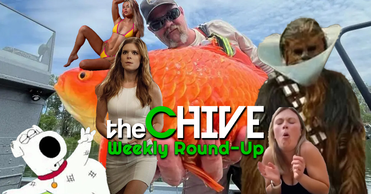 Humanity Photos, Memes & Videos - theCHIVE