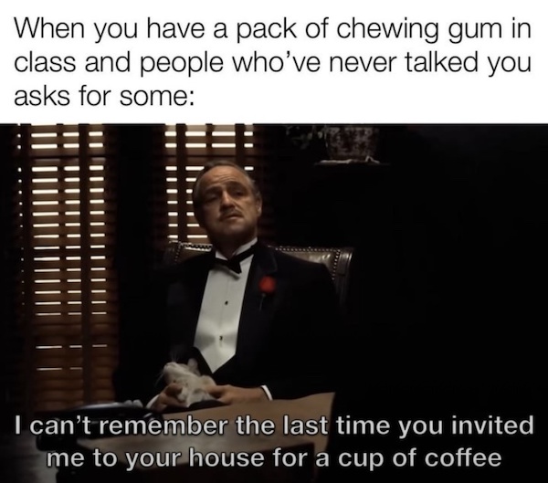 Too TRUE Memes are Simple Logic Lacking Wisdom but They Ain’t WRONG