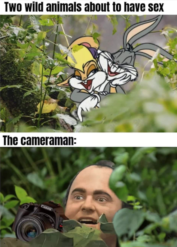 Too TRUE Memes are Simple Logic Lacking Wisdom but They Ain’t WRONG