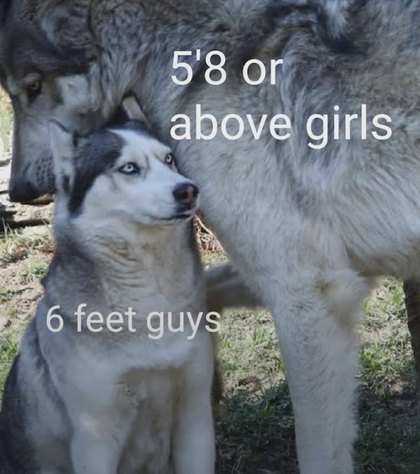 Daily Afternoon Randomness