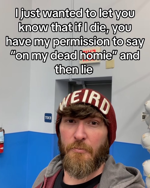 Silly Stupid Memes for Snoozy Sunday Sloths (36 Photos)