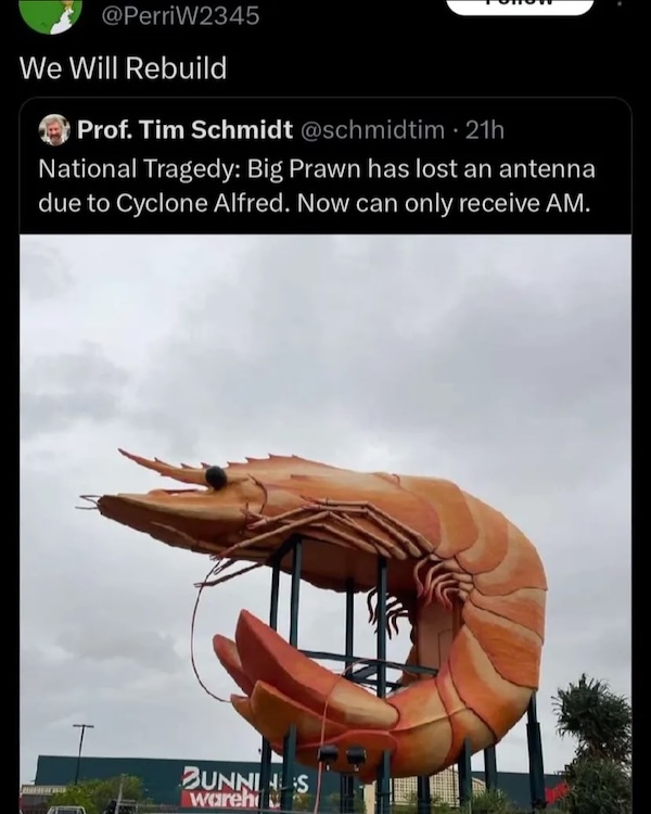 Silly Stupid Memes for Snoozy Sunday Sloths (36 Photos)