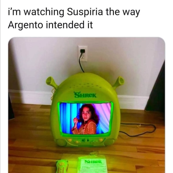 Silly Stupid Memes for Snoozy Sunday Sloths (36 Photos)