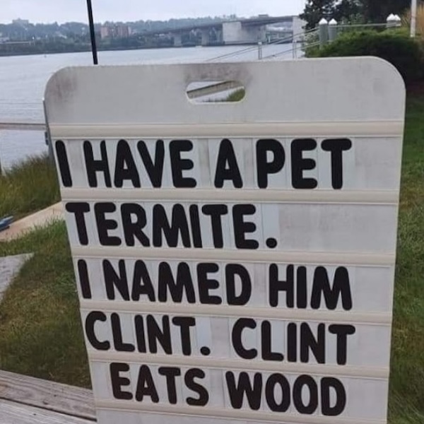Moronic Memes 4 Dummies (37 Photos)