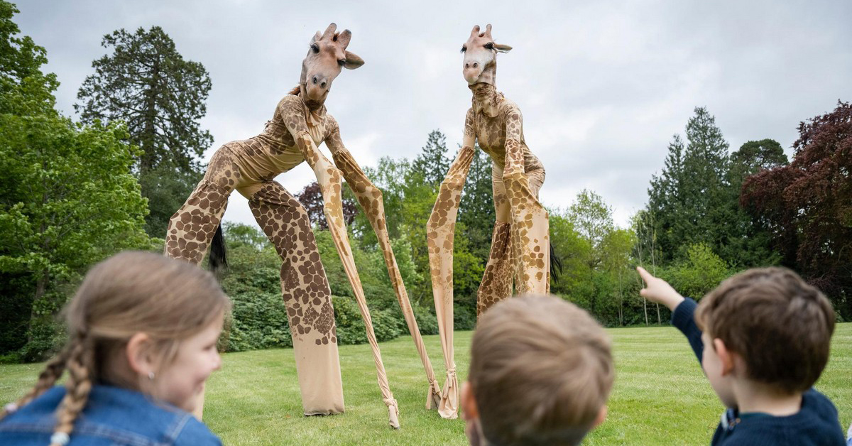 Daily Morning Awesomeness | Awesome Morning Pics, Gifs & More - theCHIVE