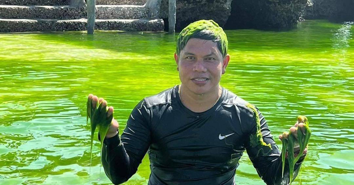 Daily Morning Awesomeness | Awesome Morning Pics, Gifs & More - theCHIVE