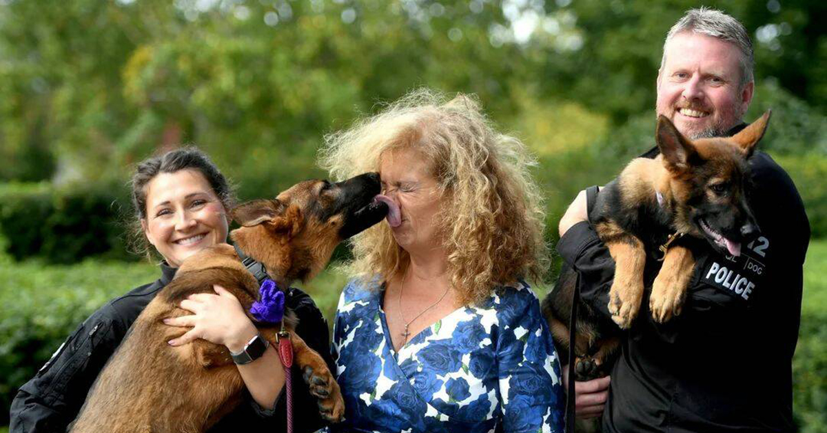 Daily Morning Awesomeness | Awesome Morning Pics, Gifs & More - theCHIVE