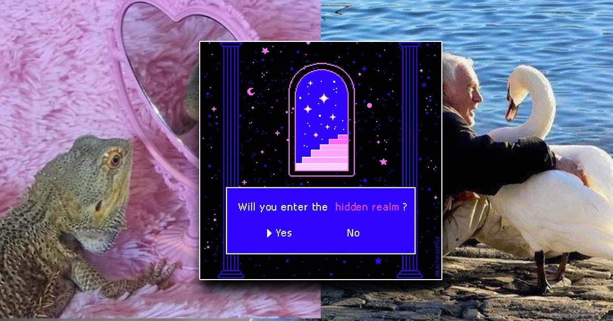 Beautiful Pictures | Pretty Pics - theCHIVE