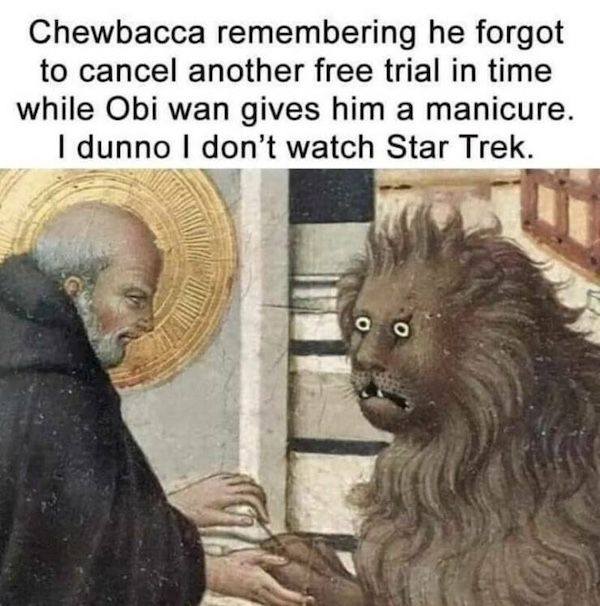 DMA is bringing the best viral images of the day to your doorstep