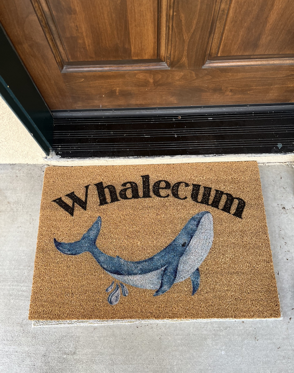 Daily Evening Randomness