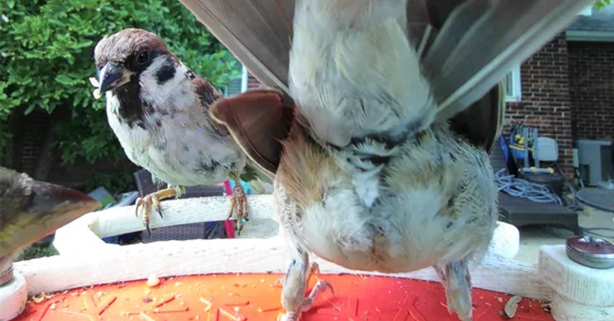 Daily Afternoon Randomness | Random Memes, Photos & Gifs - theCHIVE