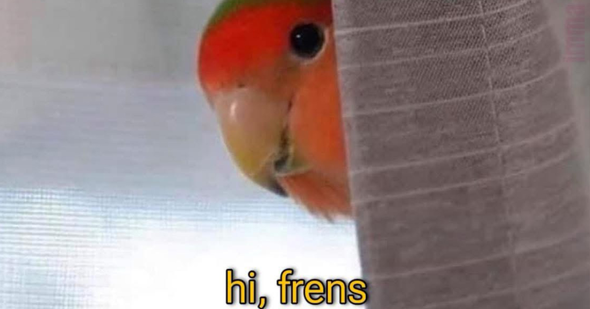 Daily Afternoon Randomness | Random Memes, Photos & Gifs - theCHIVE