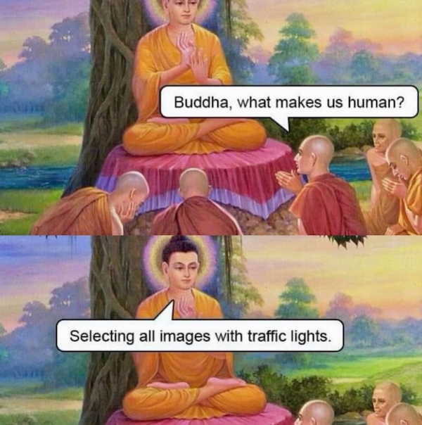 Silly Stupid Memes for Snoozy Sunday Sloths (36 Photos)