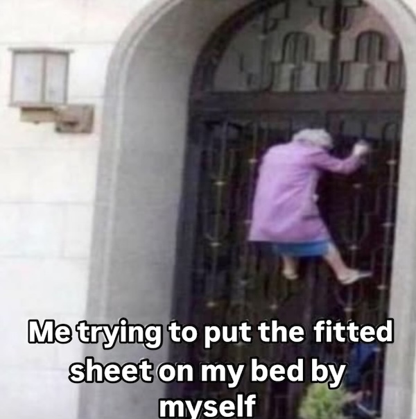 Silly Stupid Memes for Snoozy Sunday Sloths (36 Photos)