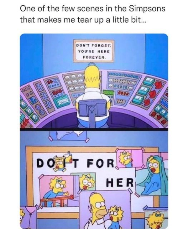 Sunshine and Wholesome Memes Galore!