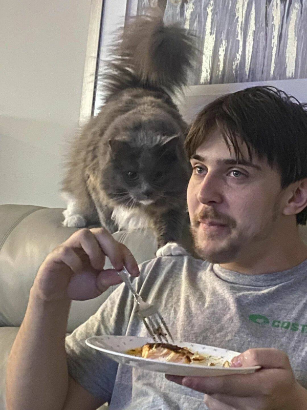 On Saturdays, the Cats Run the Show