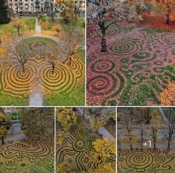 DMA is gearing back up for another workweek ahead. Enjoy the photos!