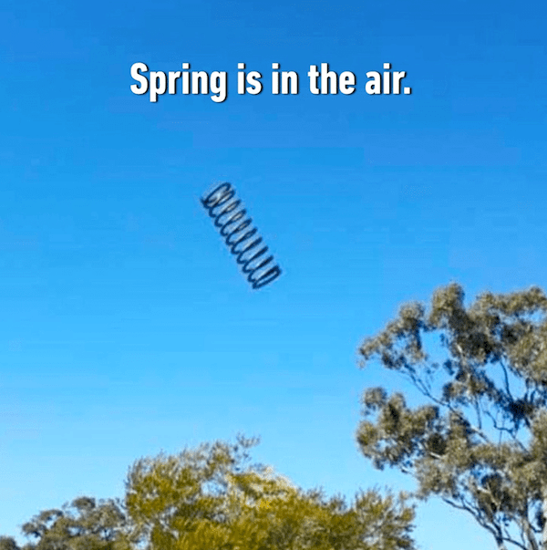 It's almost Spring so let's usher it in with some memes!