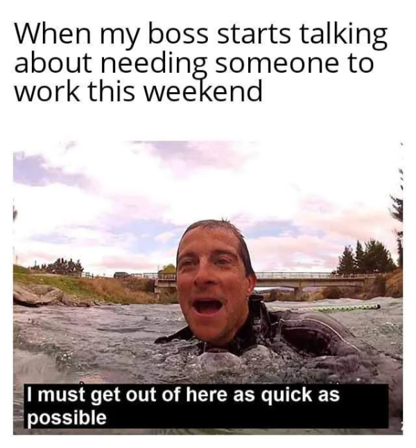 Let the Dank Memes Flow Through You