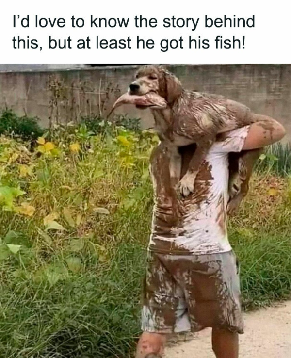 Animal Memes Can Heal us...no Really, See for Yourself