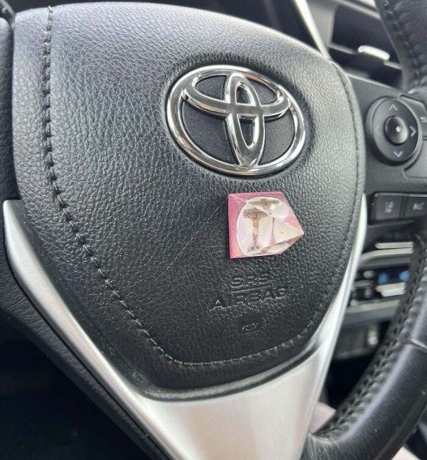 Dude... That’s Dangerous!