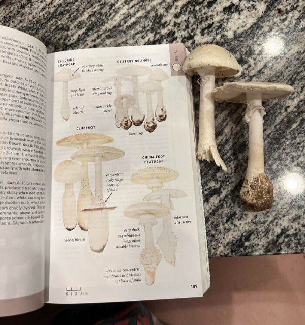 Dude... That’s Dangerous!