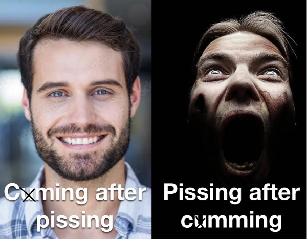 Clear the Brain Fog With Dank Memes