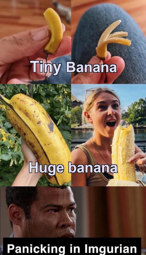 BEER-a-FULL Memes for the Weekend Funny Humor to Drinking