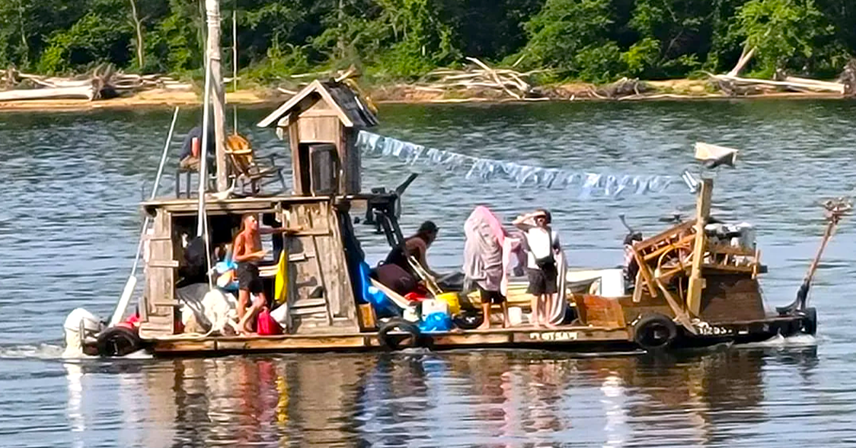 Daily Afternoon Randomness | Random Memes, Photos & Gifs - theCHIVE