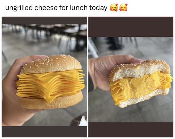 Mind-LESS Meme Best Stupid Funny Logic Photo Caption 2025 New Pictures