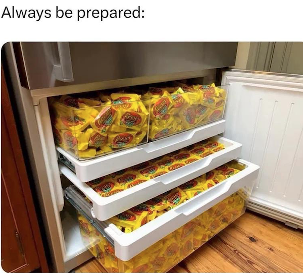 Mind-LESS Meme Best Stupid Funny Logic Photo Caption 2025 New Pictures