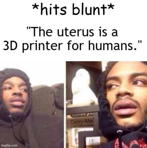 Clear the Brain Fog With Dank Memes