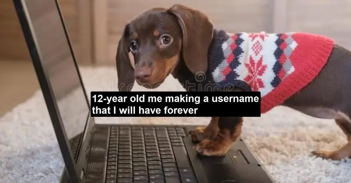 Funny Memes | The Funniest and Most Hilarious Memes Ever - theCHIVE