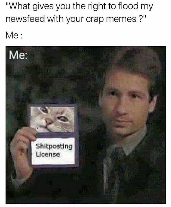 Daily Afternoon Randomness