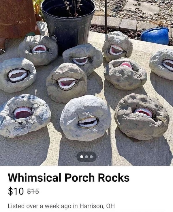 Daily Afternoon Randomness