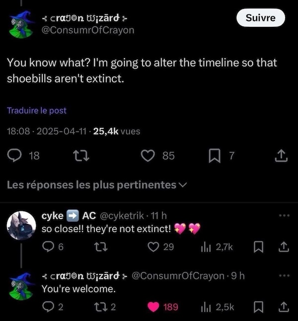 Daily Evening Randomness