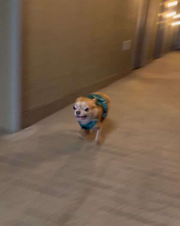 Daily Evening Randomness