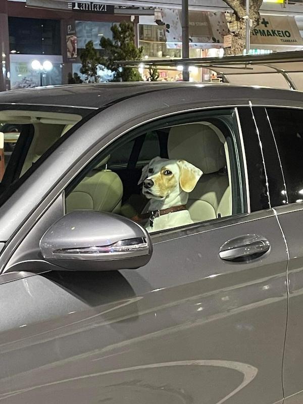 Daily Evening Randomness